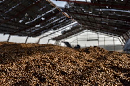 Damaged Grain Storage Destroyed Farm Bohorodychne Editorial Stock Photo ...