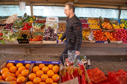 Customer Hewitts Farm Kent Enjoying Abundance Editorial Stock Photo ...