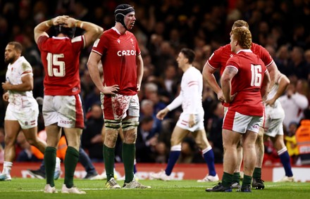 Wales Players Look Dejected Editorial Stock Photo - Stock Image ...