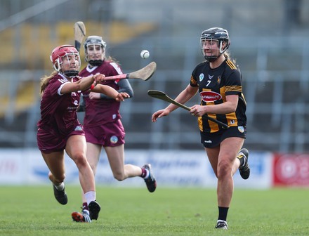 Kilkenny Vs Galway Referee Andy Larkin Editorial Stock Photo - Stock ...