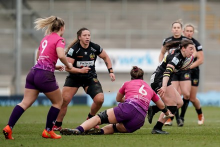 Charli Jacoby Exeter Chiefs Provides Analysis Editorial Stock Photo ...