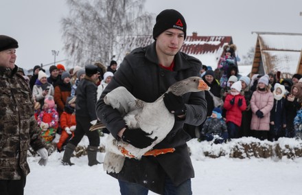 Russian Man Carry Goose After Goose Editorial Stock Photo - Stock Image ...