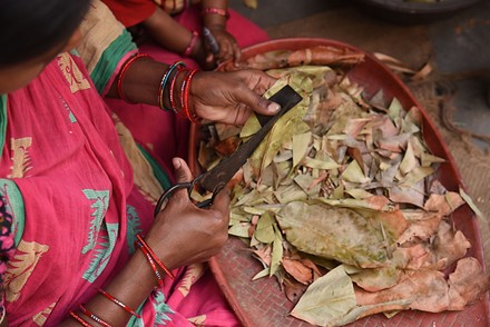 Women Handmaking Indian Cigarettes Called Bidis Editorial Stock Photo ...