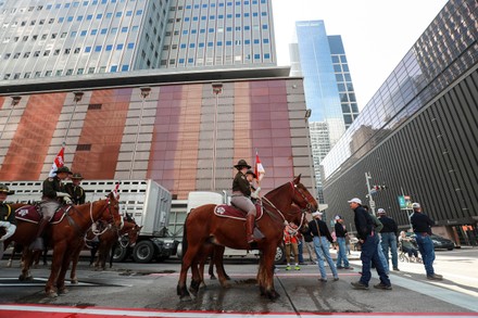 37 Downtown rodeo parade Stock Pictures, Editorial Images and Stock ...