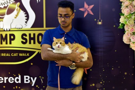 Cat Owner Holds His Cat During Editorial Stock Photo - Stock Image ...