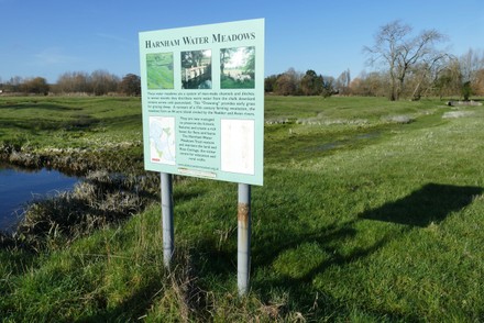 Harnham Water Meadows 84 Acres Beautiful Editorial Stock Photo - Stock ...