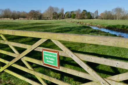 Harnham Water Meadows 84 Acres Beautiful Editorial Stock Photo - Stock ...