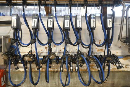 33 Milking system Stock Pictures, Editorial Images and Stock Photos ...