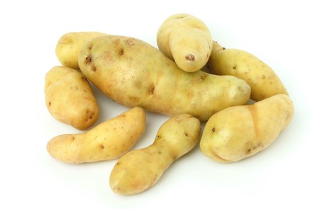 Potatoes French Variety La Ratte Gourmet Editorial Stock Photo - Stock ...