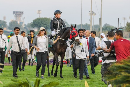 Af Alajaj Fr Ridden By Tadhg Editorial Stock Photo - Stock Image ...
