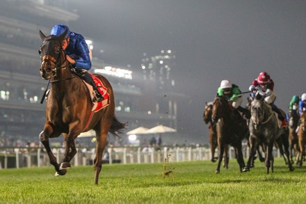 Al Suhail Gb Ridden By William Editorial Stock Photo - Stock Image ...