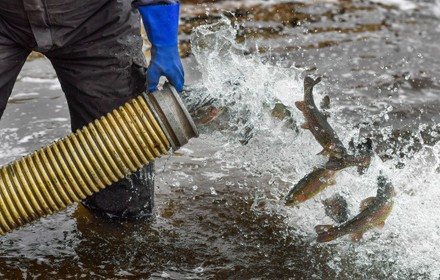 Trout Emptied Truck Using Hose Stock Editorial Stock Photo - Stock ...
