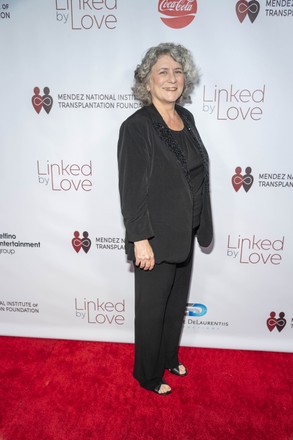 Actor Carolyn Wilson Attends Linked By Editorial Stock Photo - Stock ...