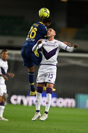Cyril Ngonge Hellas Verona Aleksa Terzic Editorial Stock Photo - Stock ...