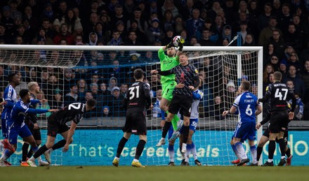 James Belshaw Goalkeeper Bristol Rovers Catches Editorial Stock Photo ...