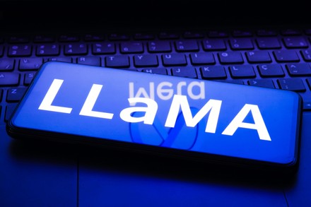 This Photo Illustration Llama Large Language Editorial Stock Photo ...