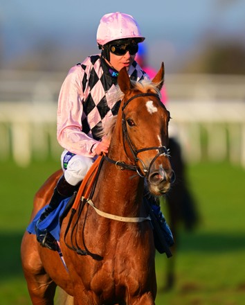 Race Winner Secret Squirrel Ridden By Editorial Stock Photo - Stock ...