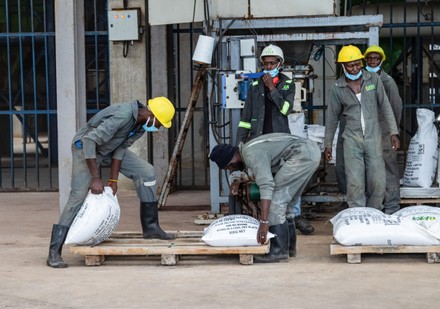 Workers Operate Fertilizer Packaging Unit Fertiplant Editorial Stock ...