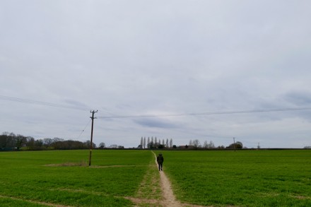 Walkers Out On Cod Dull Day Editorial Stock Photo - Stock Image ...