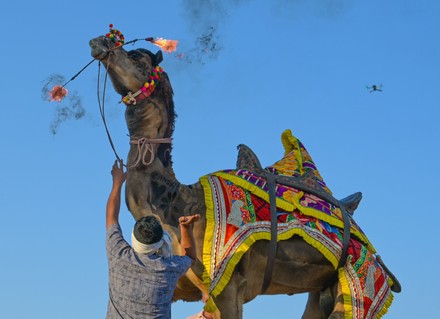 8,000 India holi festival Stock Pictures, Editorial Images and Stock ...