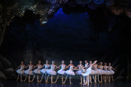Dancers Moscow State Ballet Perform Swan Editorial Stock Photo - Stock ...