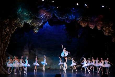 Dancers Moscow State Ballet Perform Swan Editorial Stock Photo - Stock ...