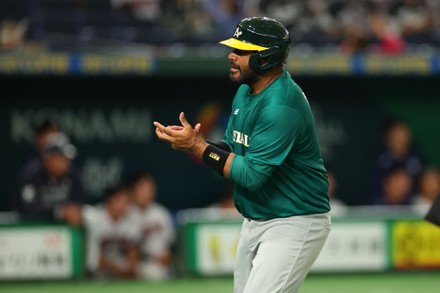 Timothy Kennelly Aus Baseball 2023 World Editorial Stock Photo - Stock ...