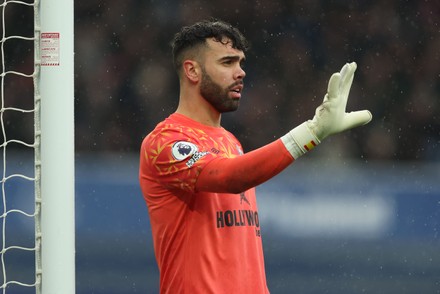 Brentford Goalkeeper David Raya Editorial Stock Photo - Stock Image | Shutterstock