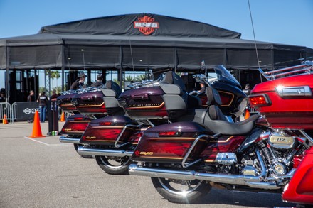 81st Annual Bike Week Powered By Editorial Stock Photo - Stock Image ...