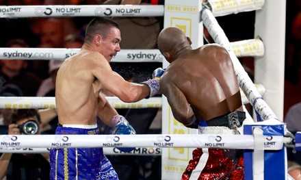 Australian Boxer Tim Tszyu Celebrates His Editorial Stock Photo - Stock ...