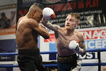 250 The peacock gym Stock Pictures, Editorial Images and Stock Photos ...