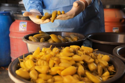 Palestinian Workers Prepare Pickled Vegetables Factory Editorial Stock ...