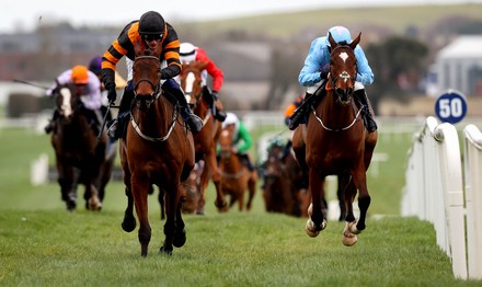 Bar One Racing Guaranteed Multiples All Editorial Stock Photo - Stock ...