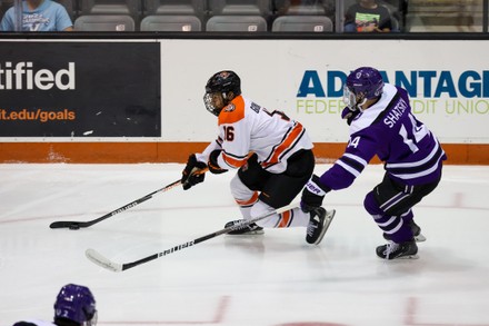 Holy Cross Crusaders Defenseman Mack Oliphant Editorial Stock Photo ...