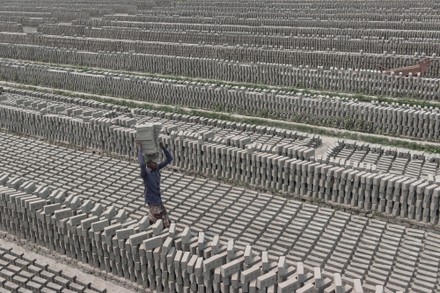 Workers Dhaka Bangladesh Carry Piles Bricks Editorial Stock Photo ...