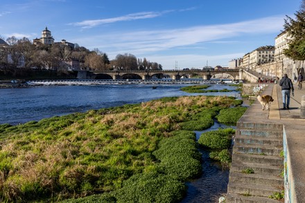 500 Po river basin Stock Pictures, Editorial Images and Stock Photos ...