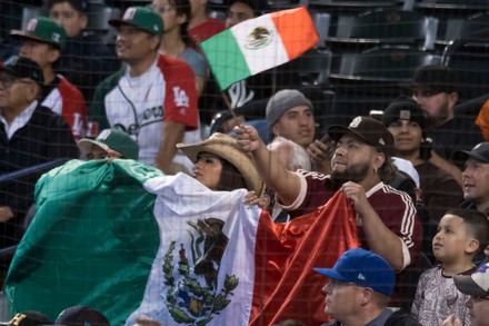 Mexico Fans Cheer Their Team Game Editorial Stock Photo - Stock Image ...