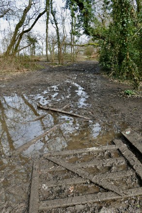 Country Paths Turned Muddy Quagmire After Editorial Stock Photo - Stock ...
