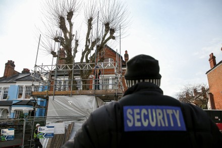 Security Guard Guards 120yearold Tree On Editorial Stock Photo - Stock ...