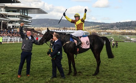 Cheltenham Gold Cup Jockey Paul Townend Editorial Stock Photo - Stock ...