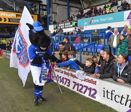 Ipswich Town Mascot Interacting Fans Before Editorial Stock Photo ...