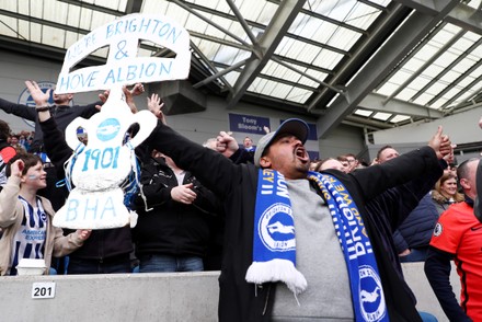 Brighton Fans Celebrate Goal Editorial Stock Photo - Stock Image ...