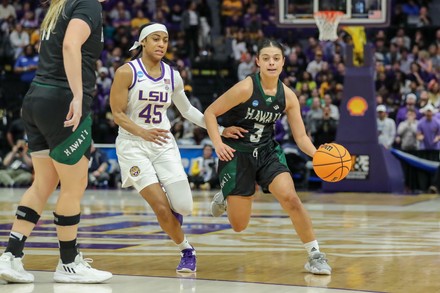 Hawaii Head Coach Laura Beeman Coaches Editorial Stock Photo - Stock ...