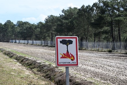 Warning Sign Placed After Ground Trees Editorial Stock Photo - Stock ...