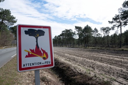 Warning Sign Placed After Ground Trees Editorial Stock Photo - Stock ...