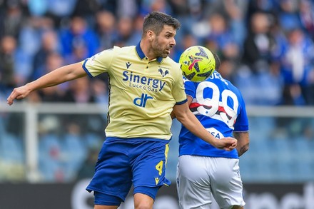 Bram Johan Andre Nuytinck Sampdoria Giangiacomo Editorial Stock Photo ...