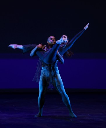Dancers Perform Pearl Divers Daughter During Editorial Stock Photo ...