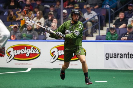 Rochester Knighthawks Defenseman Dan Coates 37 Editorial Stock Photo ...