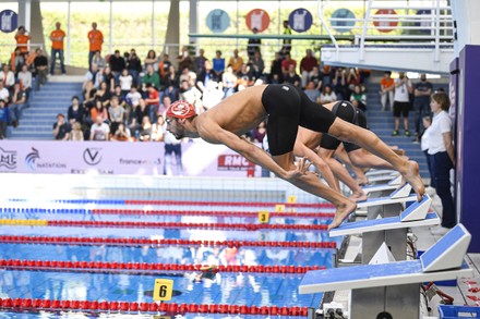 Illustration Shows Swimmer Dive During New Editorial Stock Photo ...
