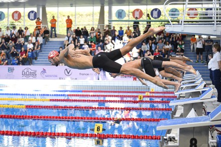 Illustration Shows Swimmer Dive During New Editorial Stock Photo ...